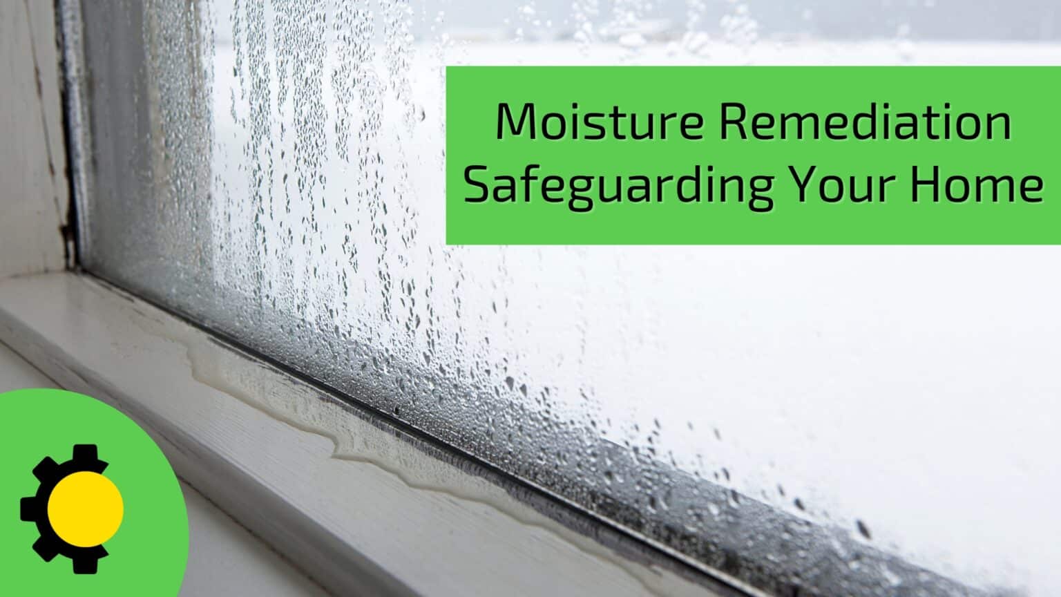 Moisture Remediation: Safeguarding Your Home
